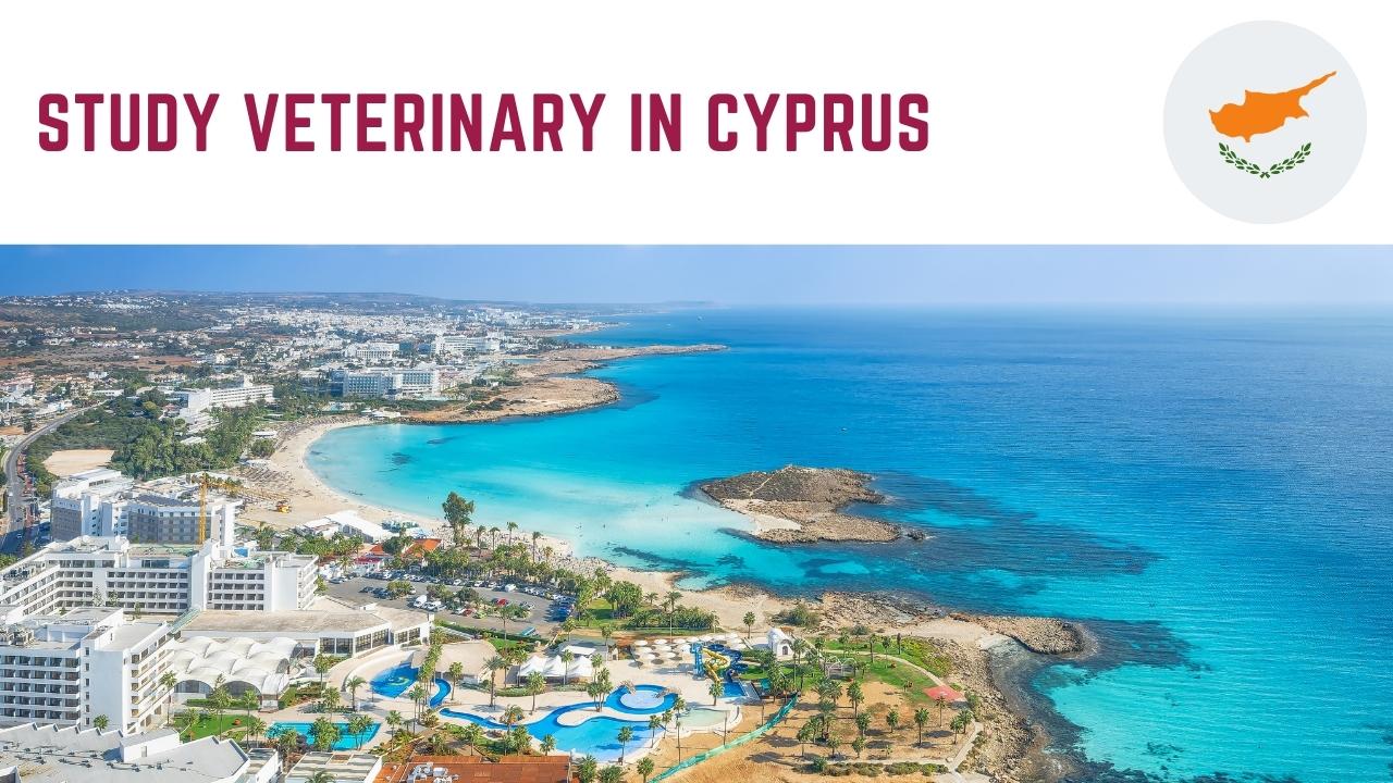 Study Veterinary in Cyprus - Medical Doctor Academy